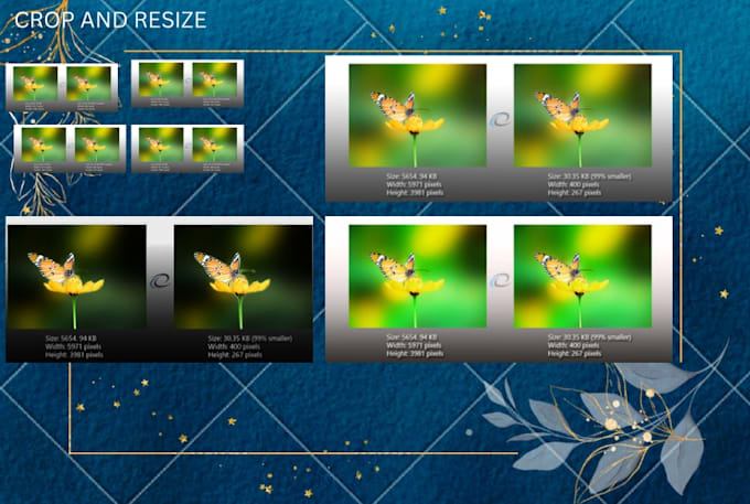 Crop And Resize Bulk Images At Cheap Rates By Afzaalhussai471 Fiverr