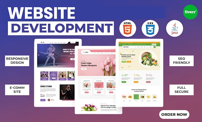 Design Redesign Develop A Modren Website With Html Css By