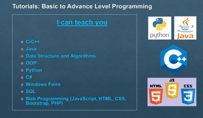 Teach Python Java Cpp C Sharp Web Programming Tutor By