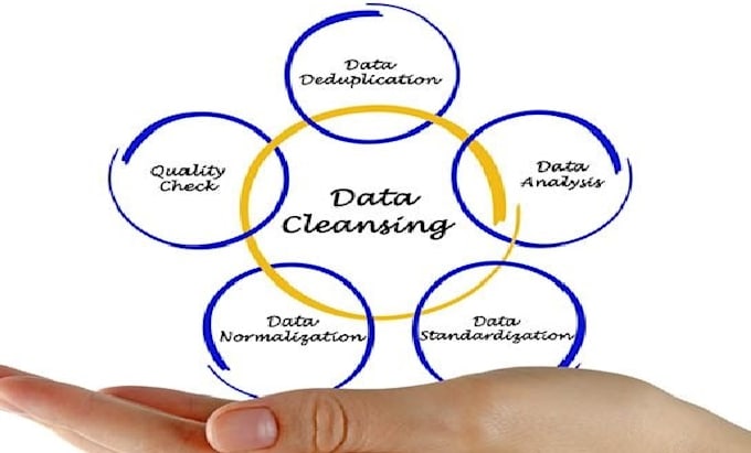 Data Cleaning And Data Validations By Fwpakistan Fiverr