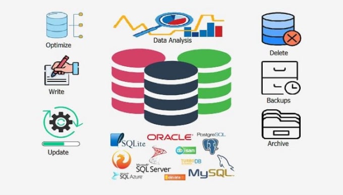 Do Excel Sql Oracle Data Migration Analysis Entry And Other Data