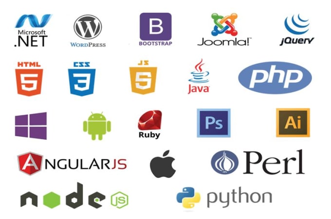 Do Web Programming With Html Css Bootstrap Tailwindcss Js Php And