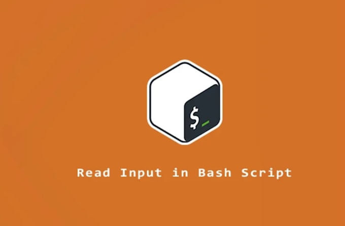 Write Bash Powershell Python Scripts To Automate Tasks By