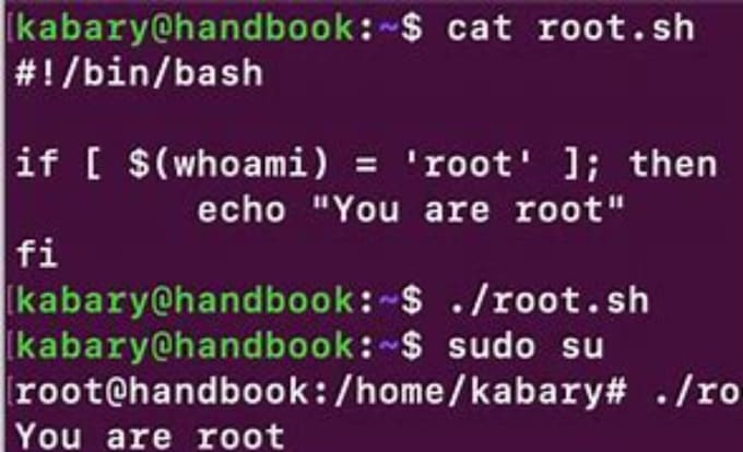 Write Bash And Shell Scripts And Linux Unix Automation By Dennis R
