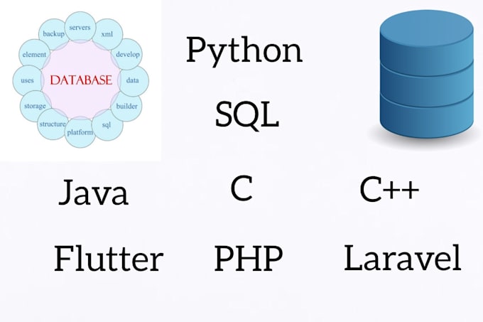 Do All Programming Flutter Java Python C Php Projects By