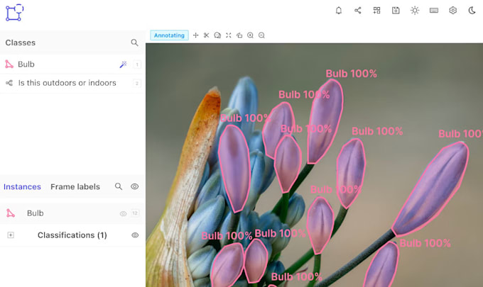 Do Image Annotation Bounding Boxes And Image Labeling For Ai Tasks By