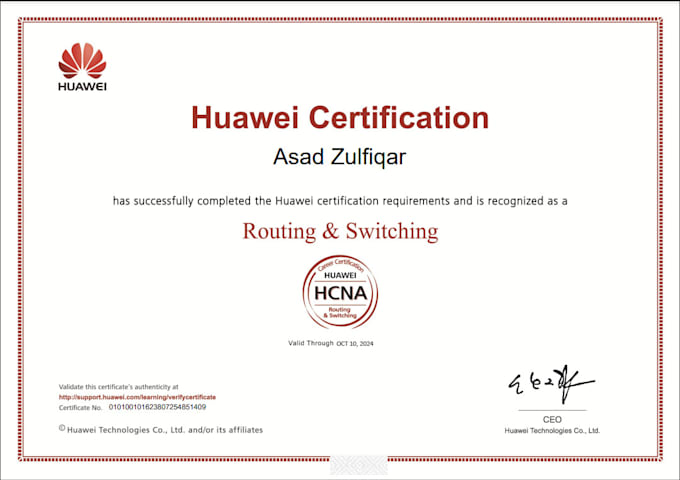 Provide Ccna Cisco Packet Tracer Networking Solutions By Routinggenie
