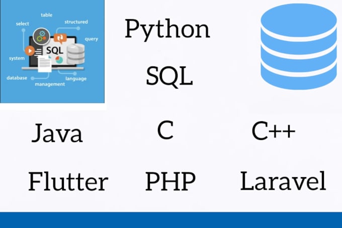 Do All Programming C Python Flutter Php Java Projects By M Umer