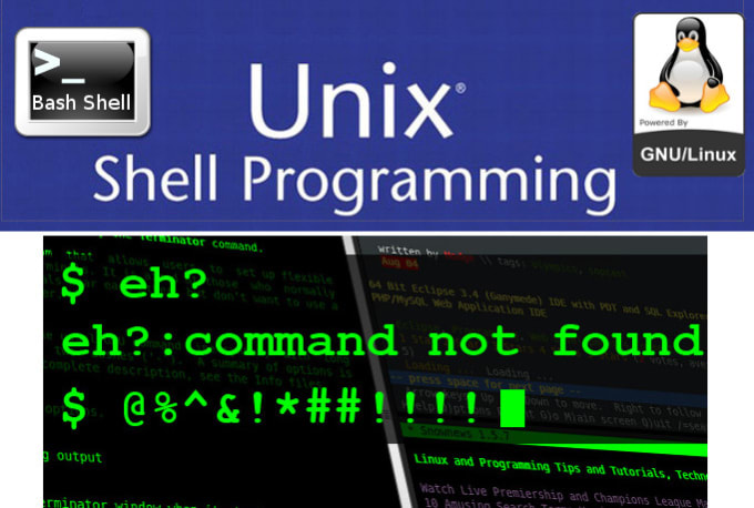 Write Linux Or Unix Shell Scripts Bash And Windows Powershell By