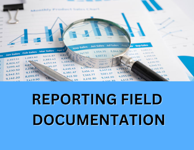 Document All Your Reporting Fields By Digitalsbychris Fiverr