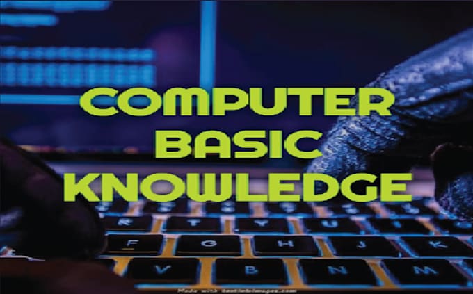 Create Amazing Cs Article For Beginners By Tayyabaabbassi Fiverr