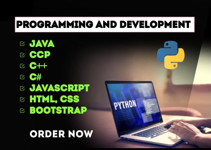 Help You In Any C Sharp Python Or Javascript Html Css Programming
