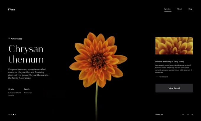 Develop Interactive 3d Webflow Animated Website Vuejs Threejs Webgj