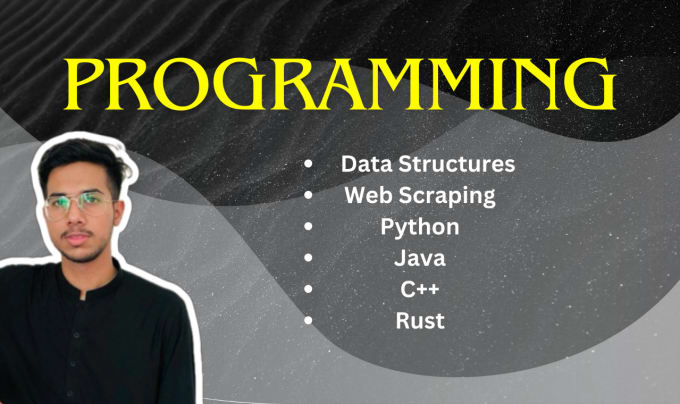 Write Python Java Rust And Web Scraping Scripts For You By