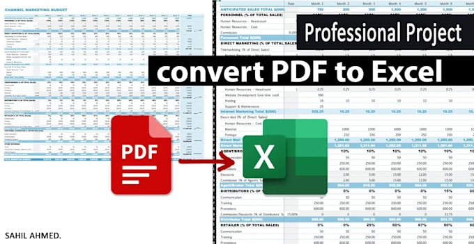 Convert Pdf To Excel Scanned Image To Excel By Sahilahmedv2 Fiverr
