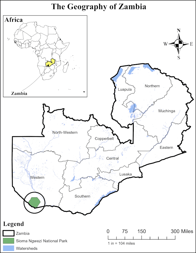 Create Gis Map Interactive Vector Map Do Spatial Analysis By
