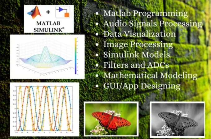 Do Python Matlab Programming Simulink Signals Processing And Gui