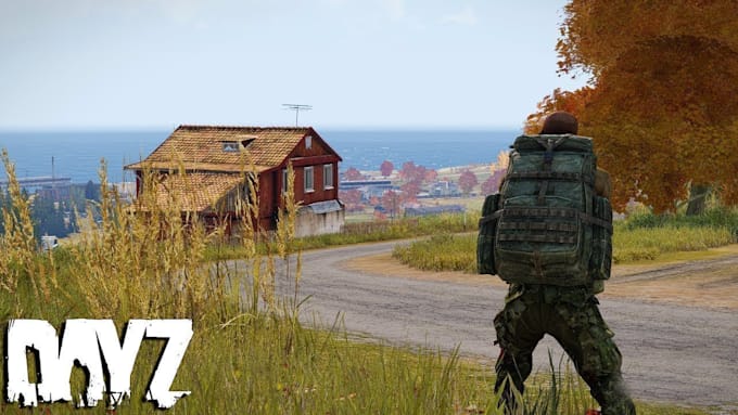 Setup A Professional Dayz Server With Mods And Scripts By Charle0s Fiverr