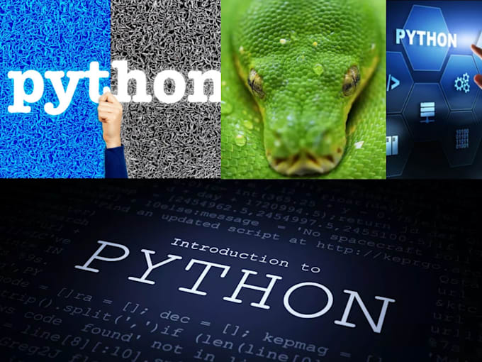 Do Python Projects And Scripts By Bachalkhokhar Fiverr