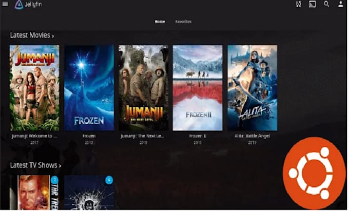 Configure And Automate Plex Jellyfin Emby Media Server By Hizarh Fx