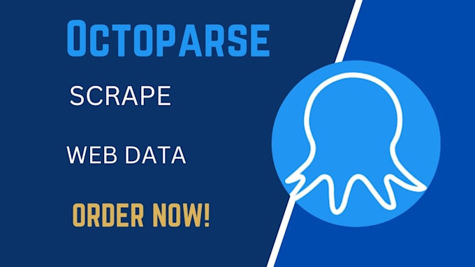 Do Data Scraping Without Coding By Saminbibi Fiverr