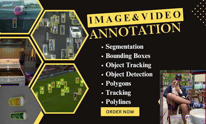 Image Annotation Segmentation Bounding Box And All Data Labeling For