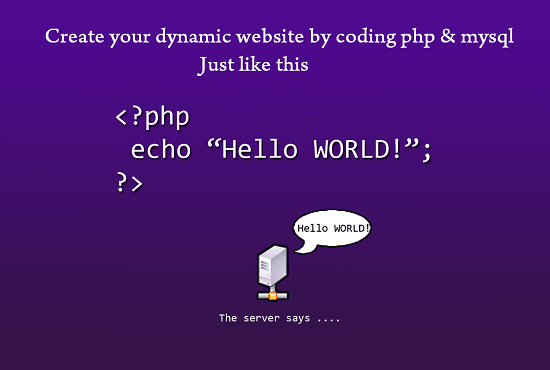 Create Dynamic Pages By Html Css Php Mysql Coding By Gktushar Fiverr