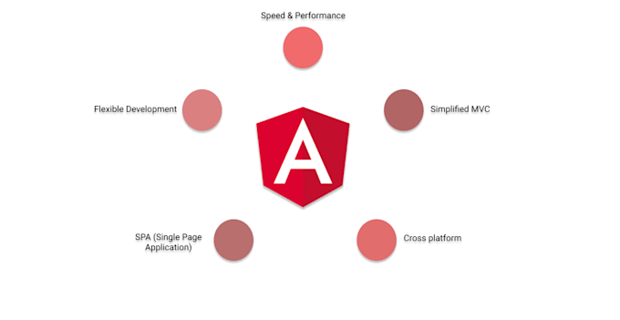 Develop Angular Application With Express Backend By Raheemmohamed Fiverr