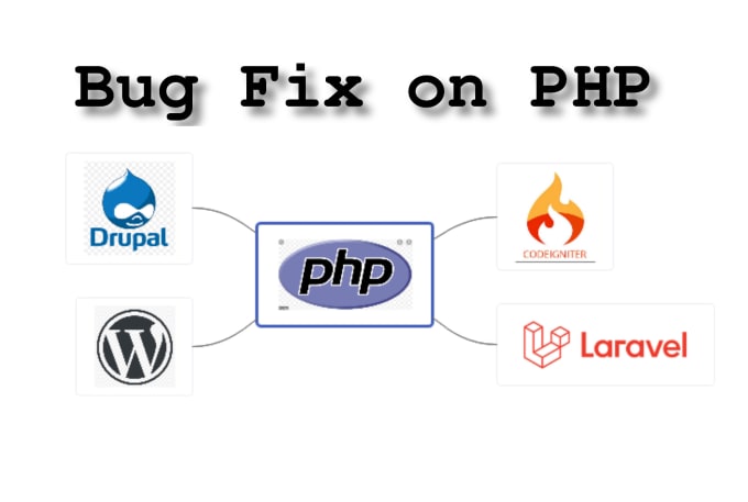 Fix Your Bugs On Php Html Css Wordpress Codeigniter Laravel By