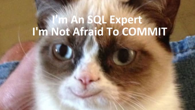 Code And Help You With Oracle Sql Plsql Queries And Scripts And Mysql