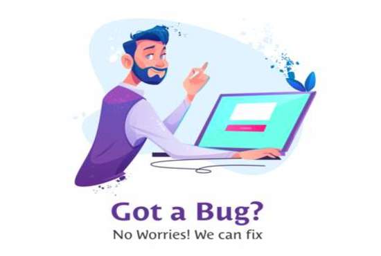 Fix Bugs In Your Php Mysql Html Css Javascript Website By
