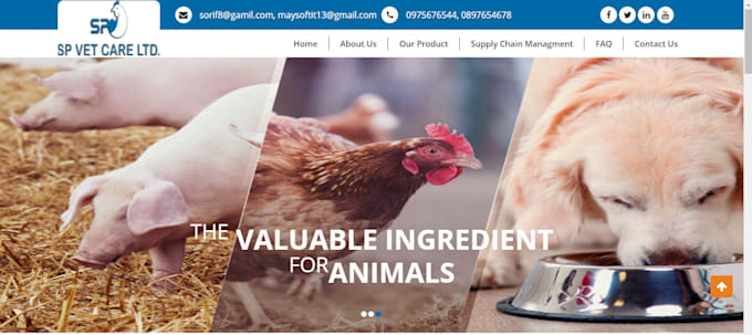 Responsive Web Design Using Html Css Jaquery Bootstrap By Siparvej
