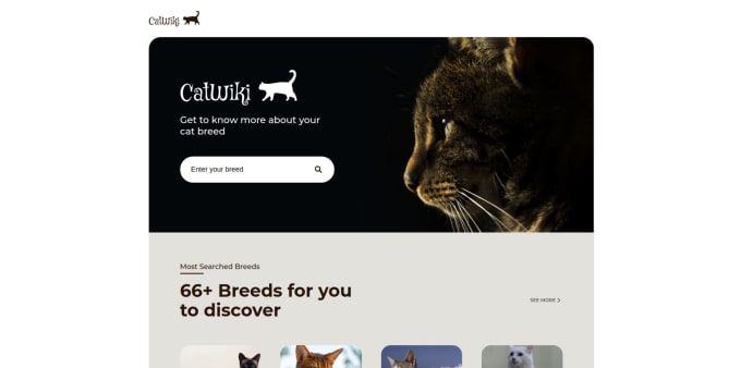 Build Blazing Fast Websites With Html Tailwind Css Javascript React