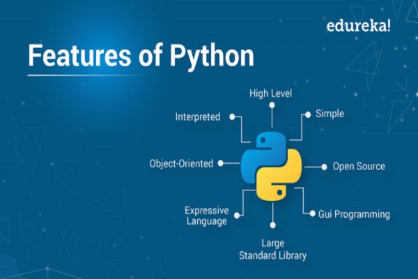 Teach You Python Programming Basic To Advanced By Himanshu0403 Fiverr