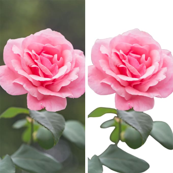 Edit Photos By Removing Backgrounds By Airahalzado Fiverr