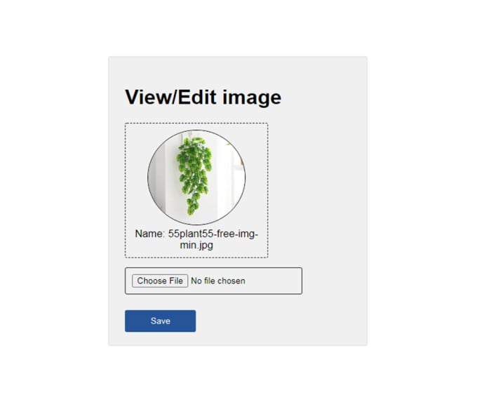 Programming The Upload File Using Php And Mysql Database By