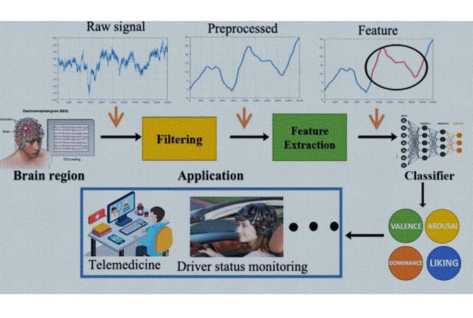 Do Biomedical Image Processing And Signal Processing By Safina Tech Hub