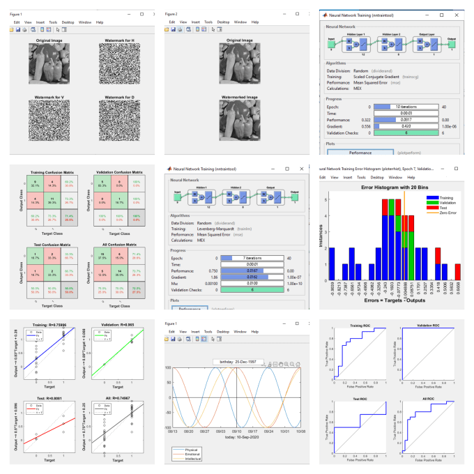 Do Matlab Simulink Signal And Image Processing Projects By