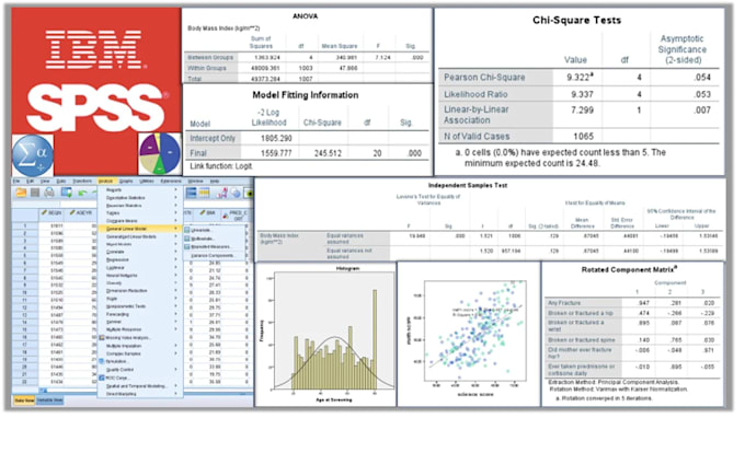 Do Statistical Data Analysis With Spss R Minitab Excel By