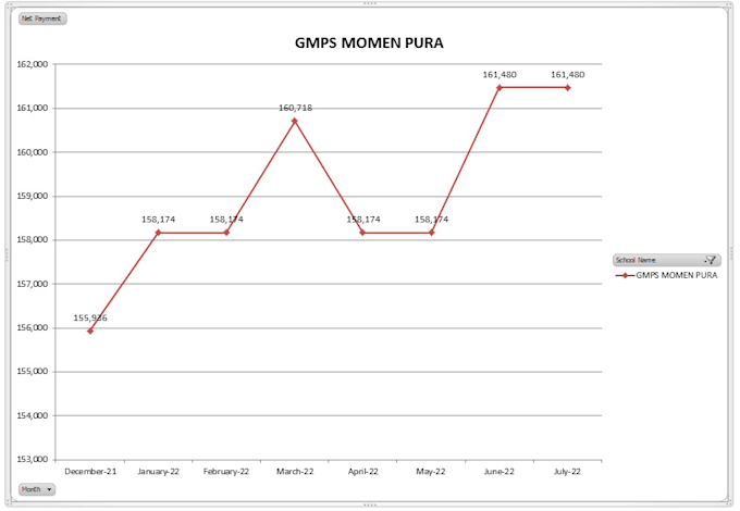 Perform Data Visualization Dashboard Designing In Excel By Afzaal