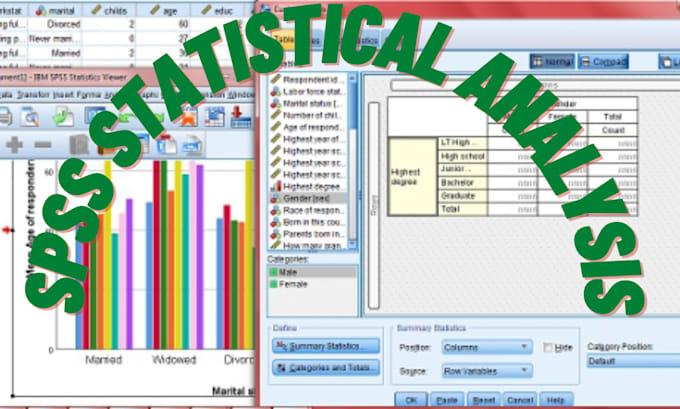 Do Statistical Analysis Using Spss Eviews Stata Sas Excel And R Studio By Juliette Claire