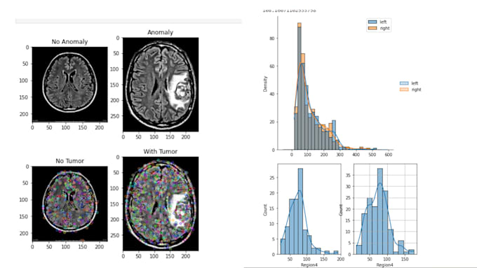 Do Your Classification Clustering And Image Processing Projects By
