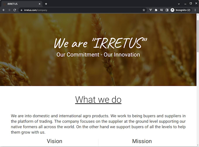 Do Frontend Web Development In Html Css And Reactjs Or Vuejs By