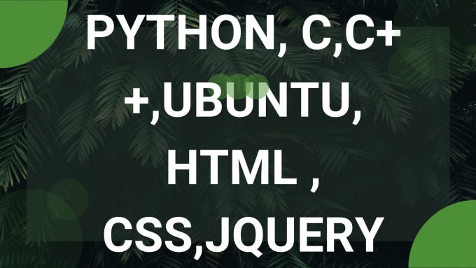 Do Python Programming Codes And Assignments By Afshanliaqua Fiverr
