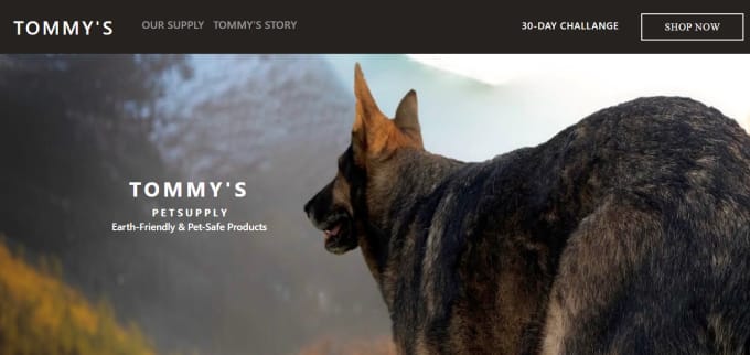 Do Front End Development Using Html Css Bootstrap React Js By Ali