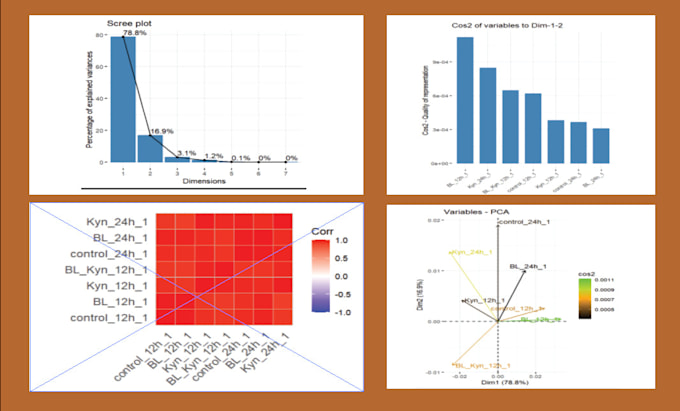 Do R Programming Visualization Analysis Using Rstudio By Itsme Huzi