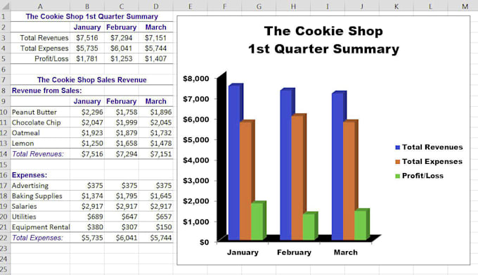 Spreadsheet Graphs Formulas Data Entry Macros Vba Cashflow Pivot