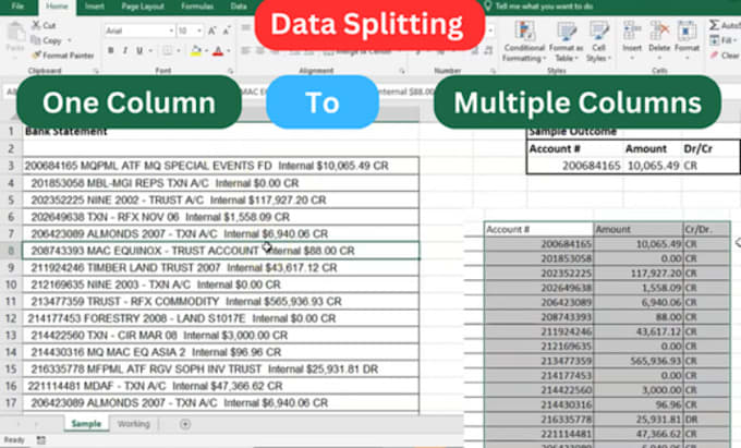 Split Single Cell Excel Data In Multiple Columns By Ligeroffice24 Fiverr