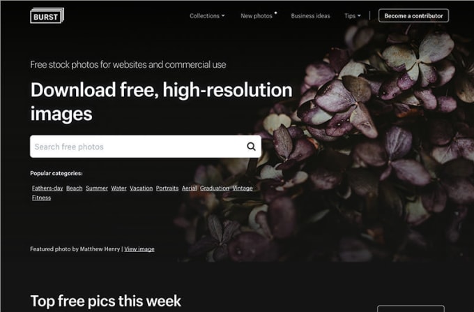 Be Your Front End Web Developer Using Html Css Bootstrap React Js By