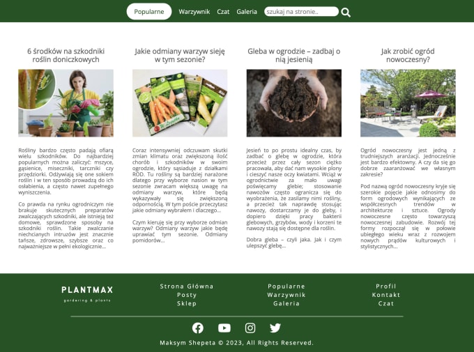 Make A Web Page Using Html Css And Javascript By Mikki Max Fiverr